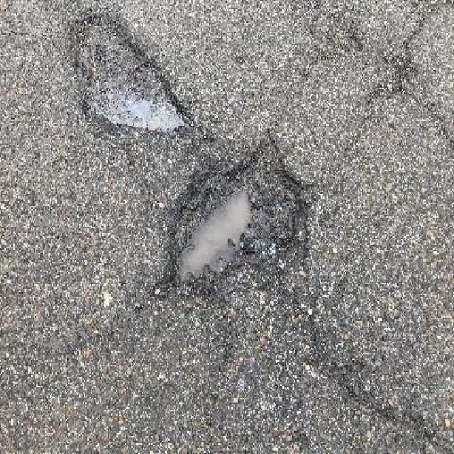 pothole Object Detection Dataset by RSMS1