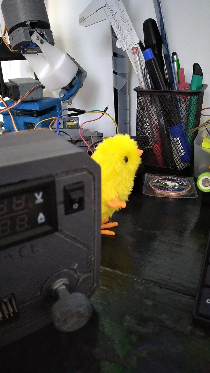 Chicken Detection Object Detection Dataset And Pre Trained Model By