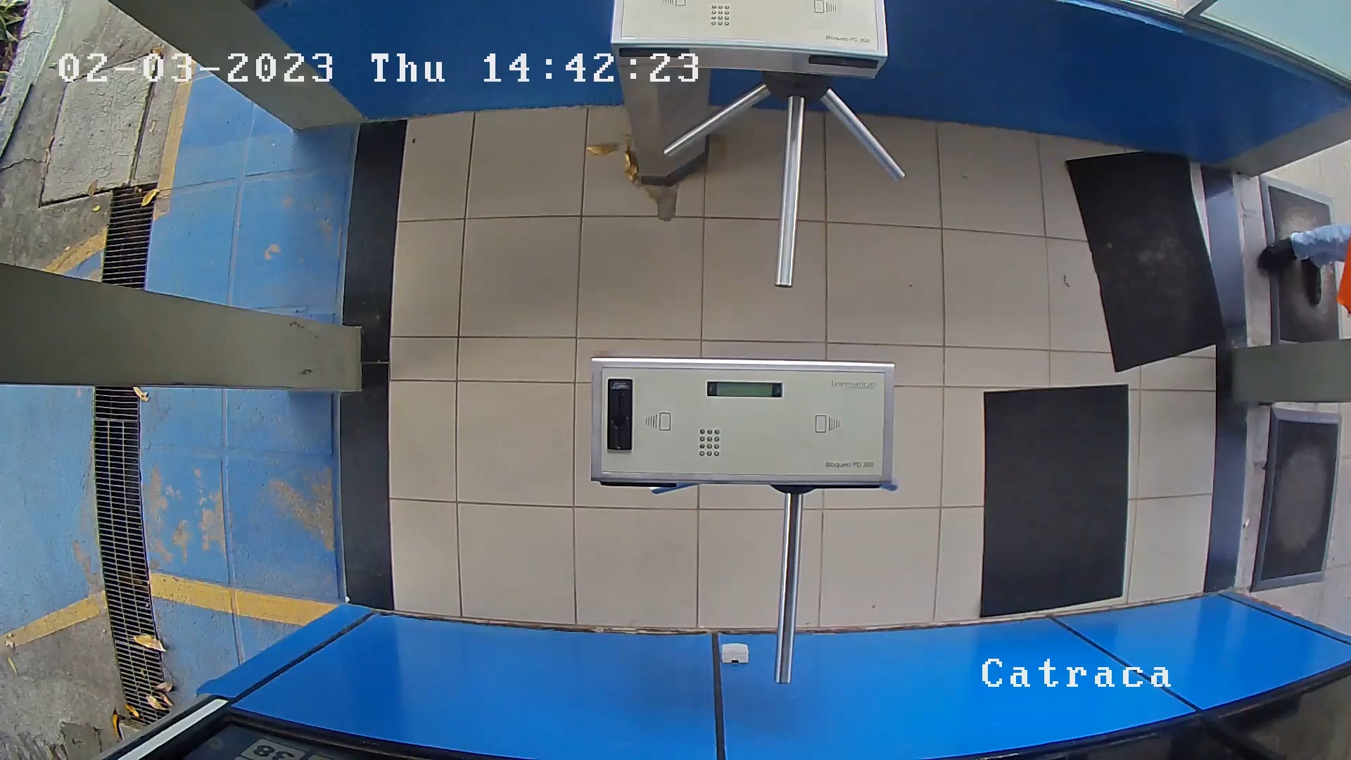 How to Use the head detection Object Detection API