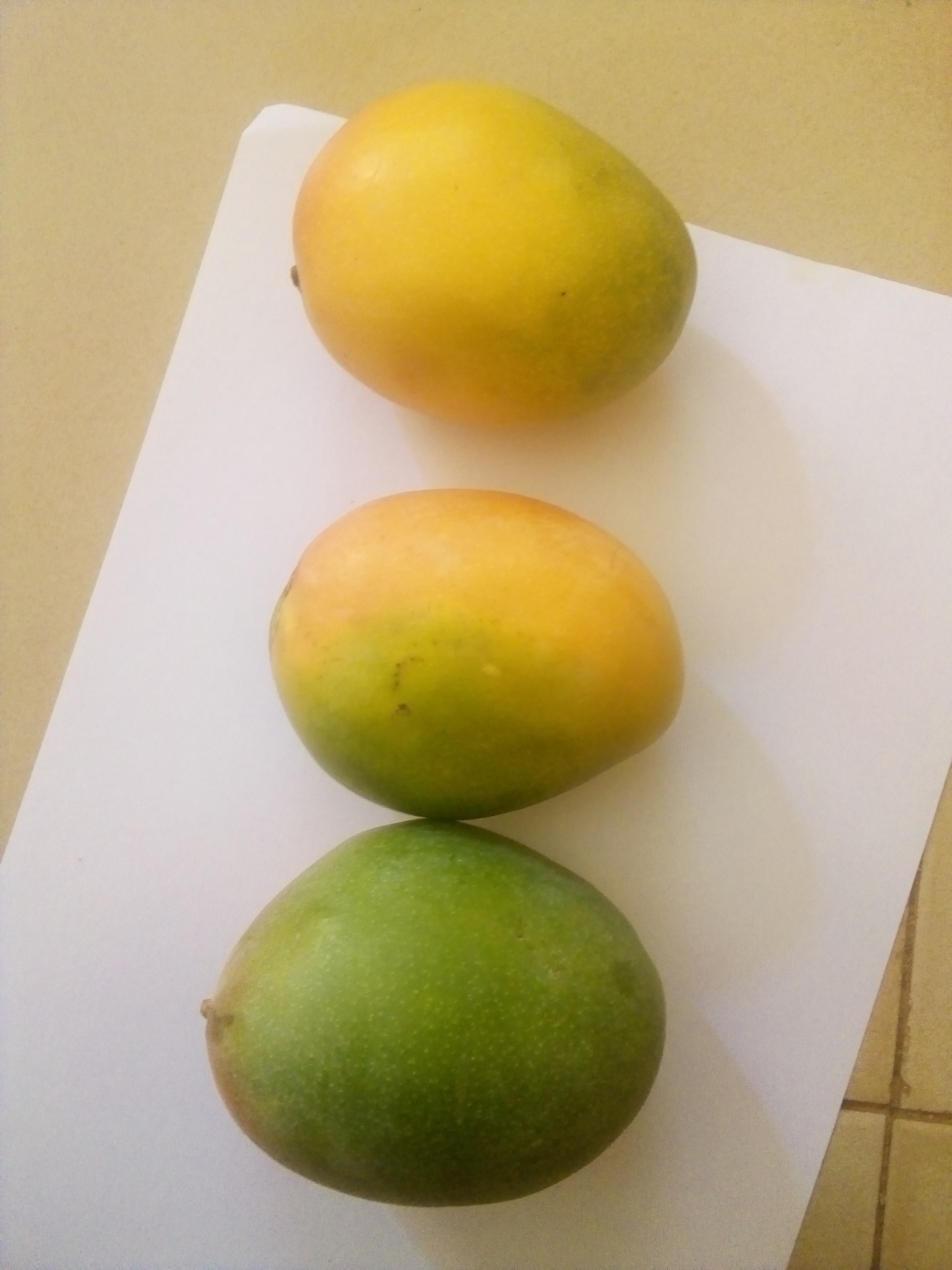 Mangoes Detection Object Detection Dataset By Unz