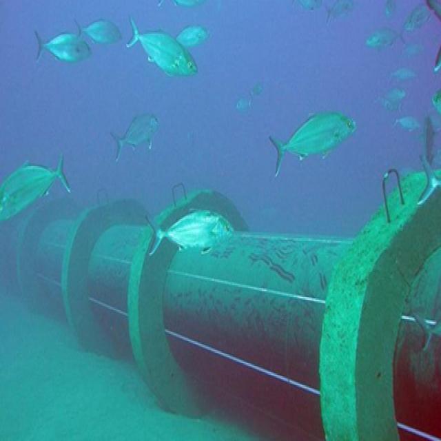 How to Use the PipelineUnderWater Instance Segmentation API