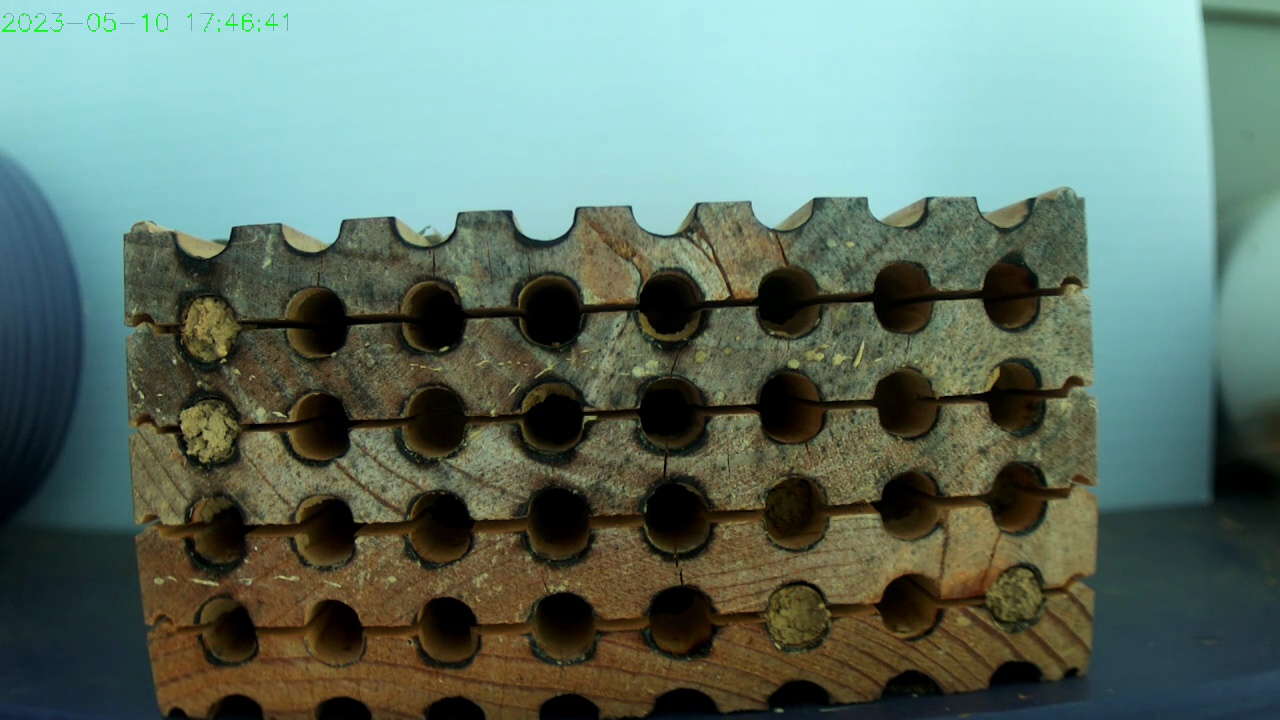 solitary bee hotels Object Detection Dataset and Pre-Trained Model by BeeVision