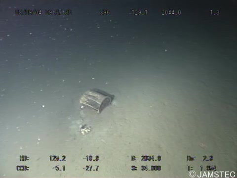 Trash Object Detection Dataset and Pre-Trained Model by SRL