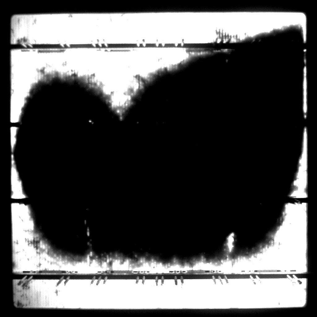 Abrar Semantic Seg Instance Segmentation Dataset And Pre Trained Model By Abrar Wahaibi