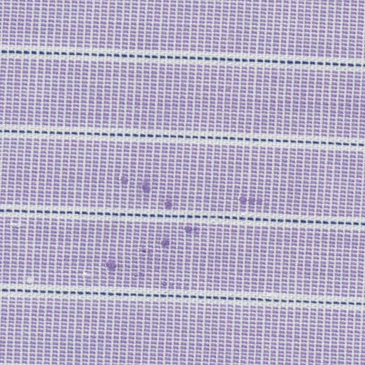 fabric Object Detection Dataset and Pre-Trained Model by AHPU