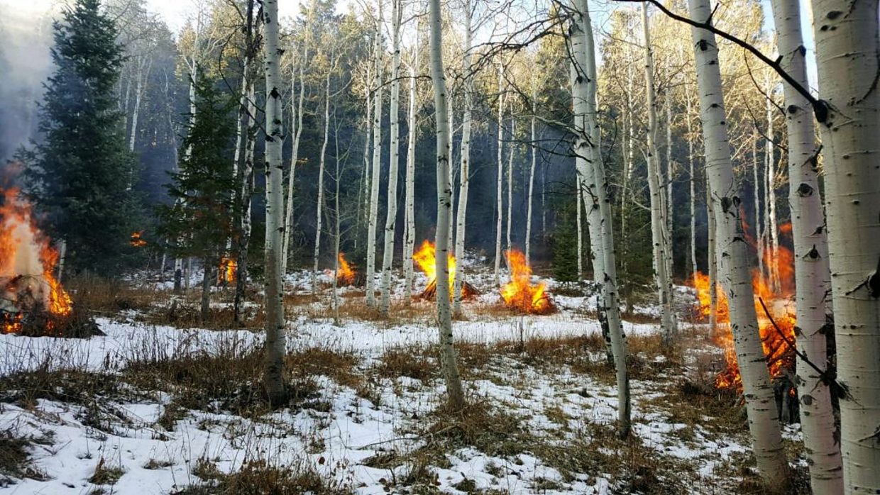 Fire Forest Detection - Computer Vision Object Detection Dataset and ...