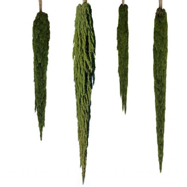 Object Detection Object Detection Dataset And Pre Trained Model By College