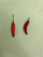 chili object detection Object Detection Dataset and Pre-Trained Model ...