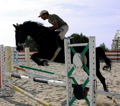 hesham gamal - Roboflow Universe