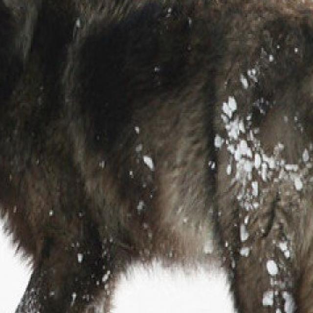 spi Object Detection Dataset by Inypay