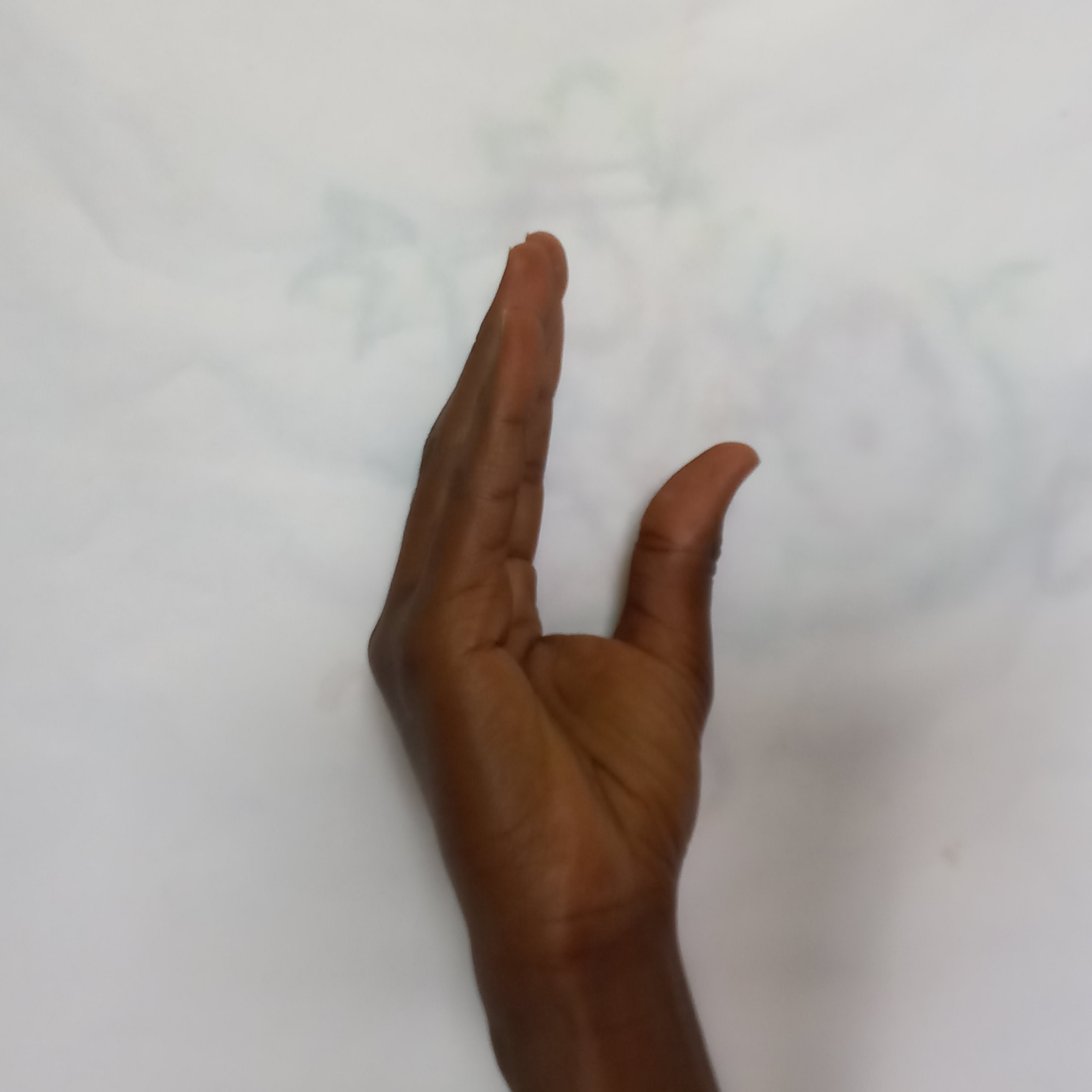 Sign Language Object Detection Dataset And Pre Trained Model By Project
