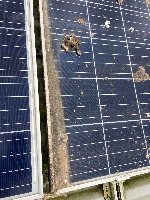 defect PV Object Detection Dataset and Pre-Trained Model by Photovoltaic faults