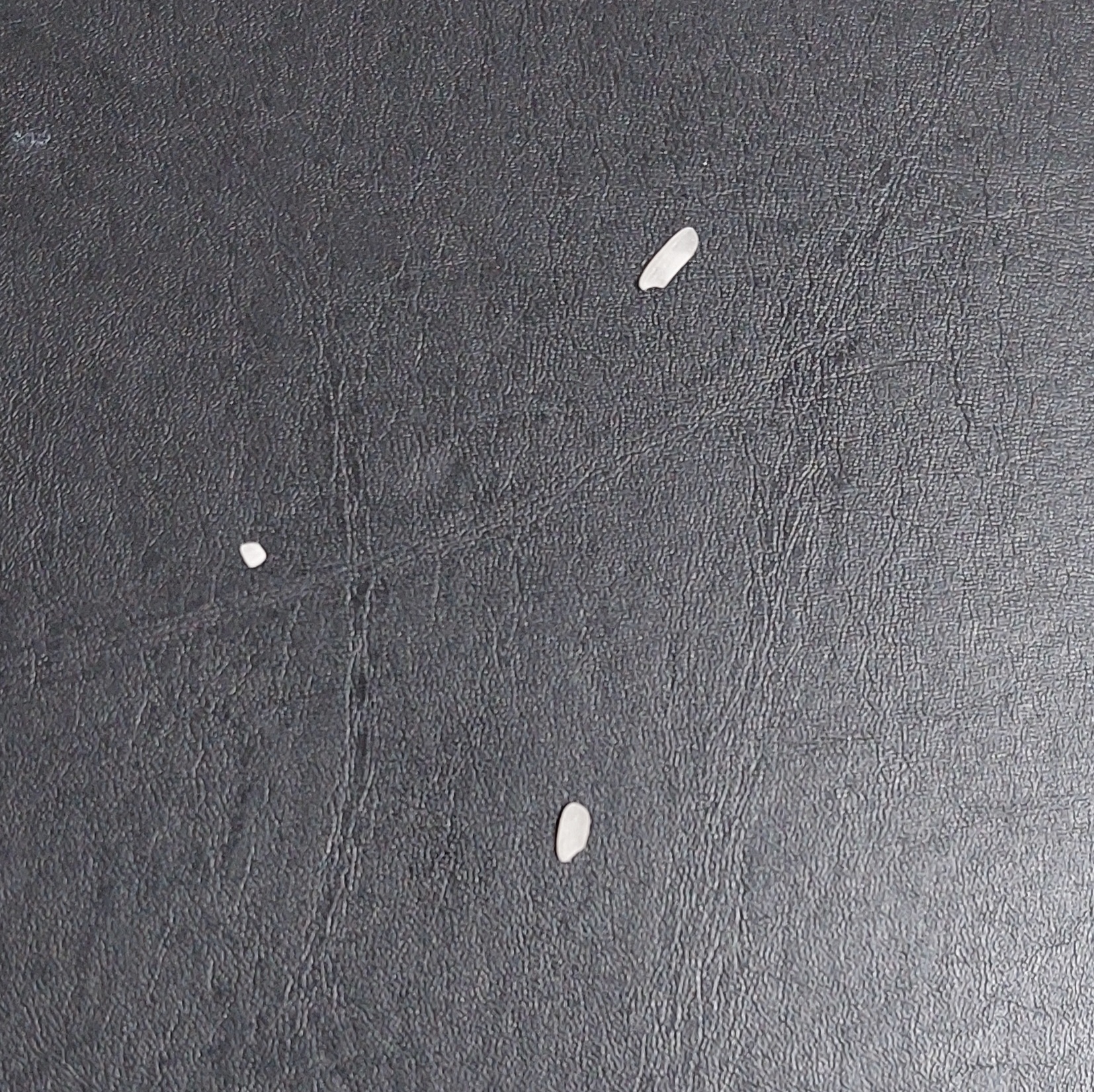 TUBES KEL 10 DEEP LEARNING SIP (tubes-kel-10-deep-learning-sip-5vqnb ...