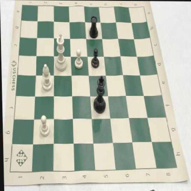 chess-piece-detection Object Detection Dataset and Pre-Trained Model by TCC