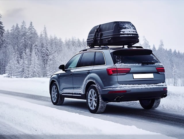 How to Use the face_raccoon_car Object Detection API