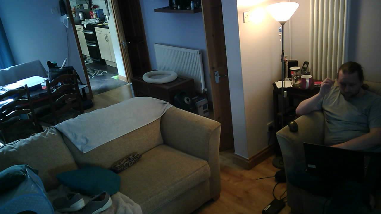 How To Use The Cats Object Detection Api