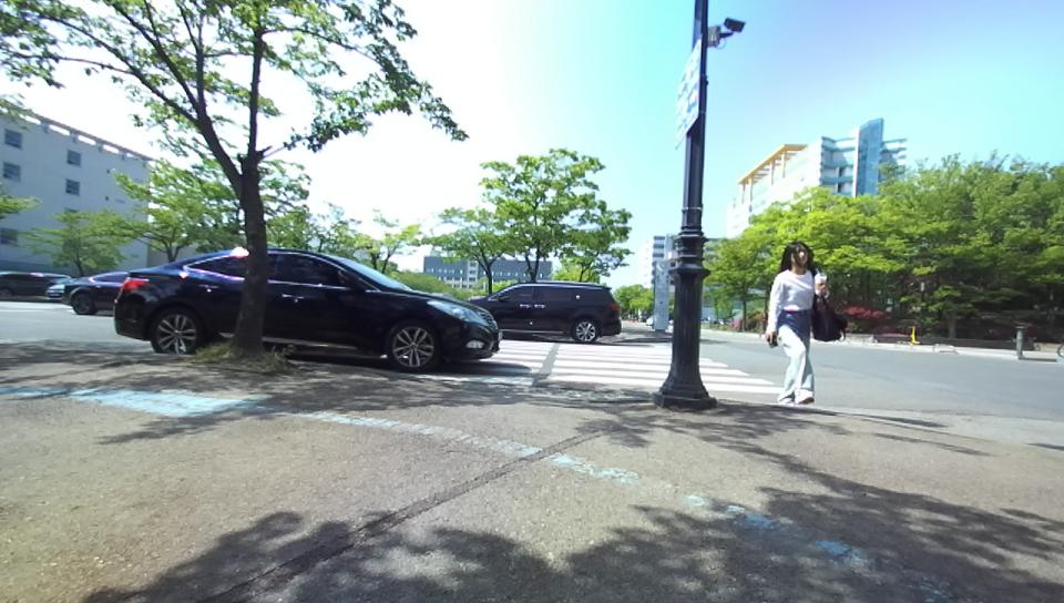 sidewalk Object Detection Dataset by projects