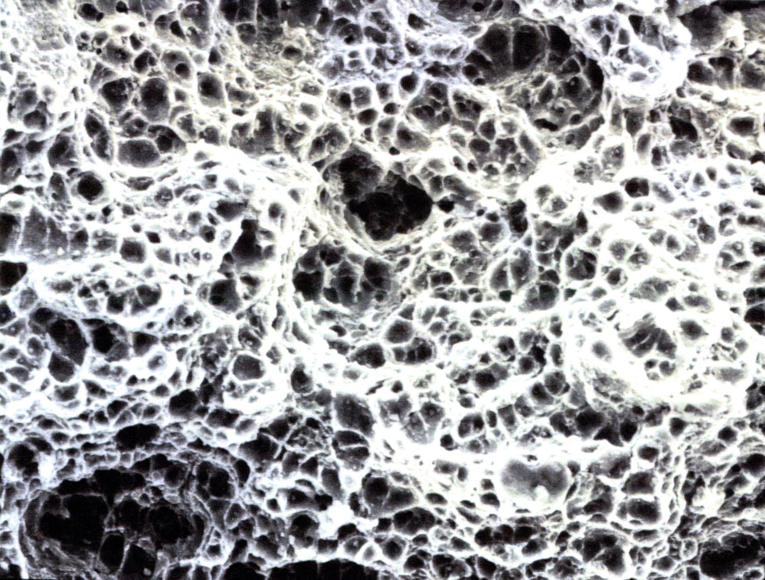 Surface Object Detection Dataset By School