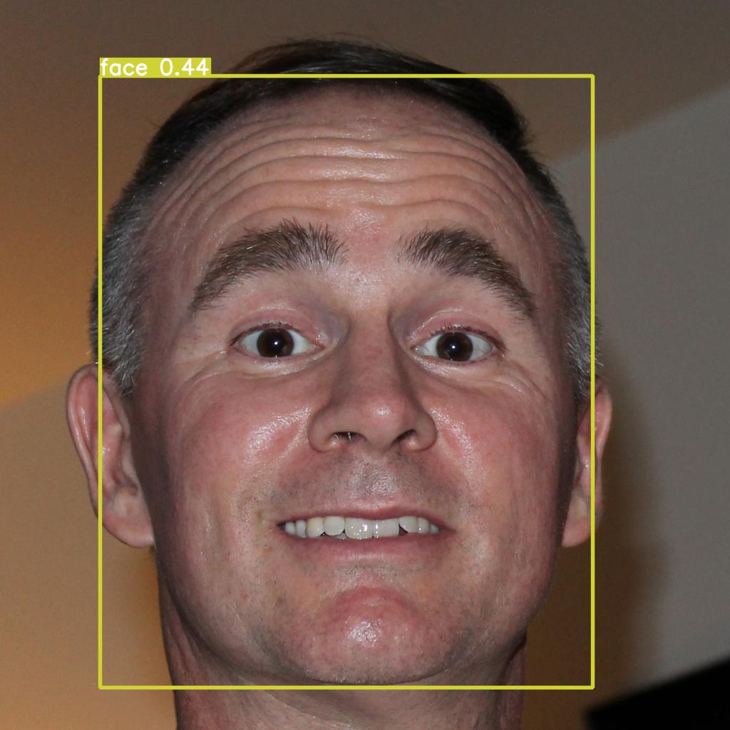 Face Detection Object Detection Dataset And Pre Trained Model By Fisrt One