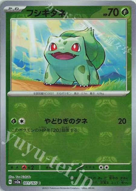 xika - Roboflow Universe