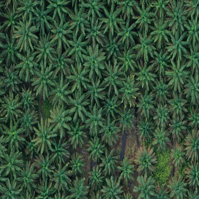 Unikl MIIT - Roboflow Universe