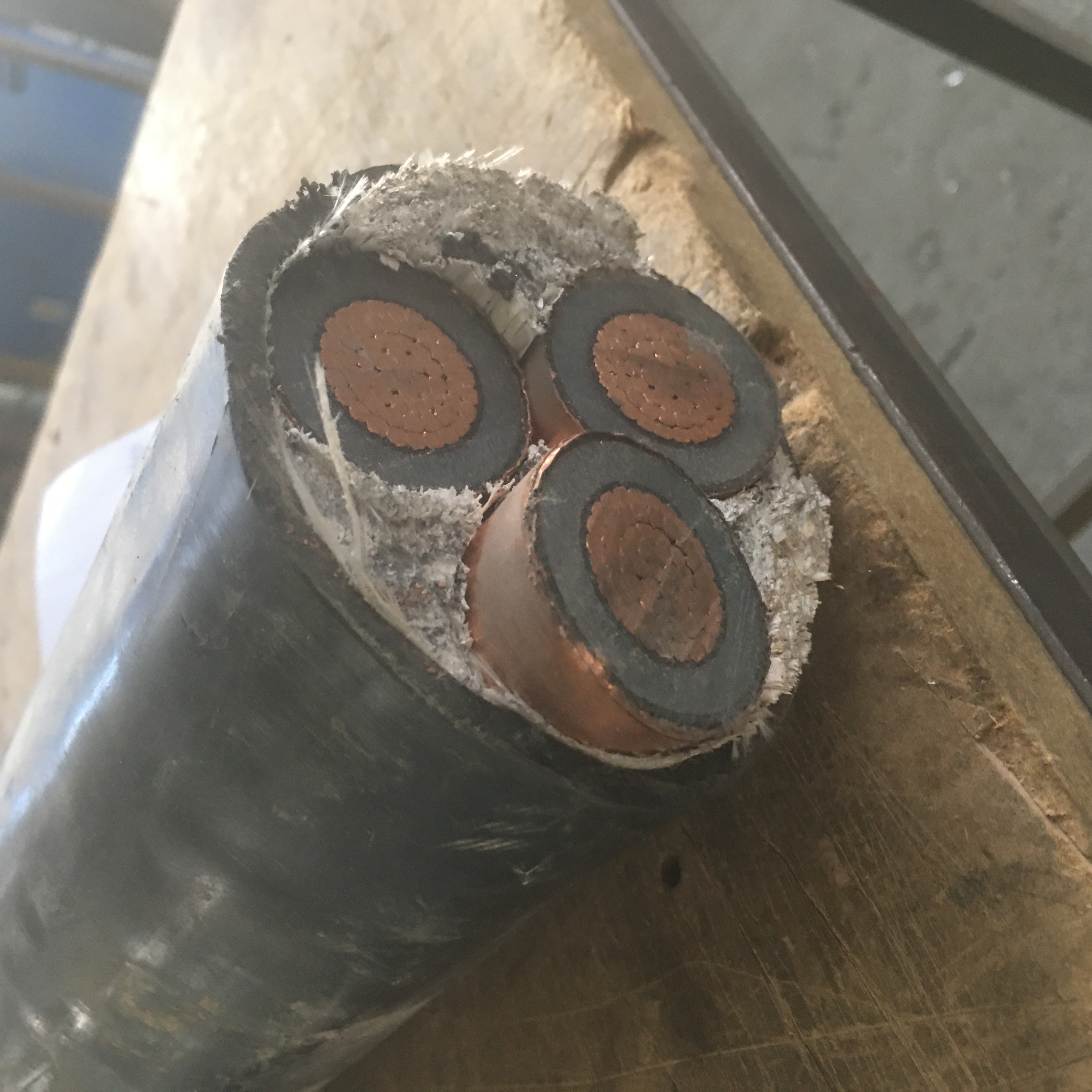 cable Instance Segmentation Dataset by new-workspace-ha3qx