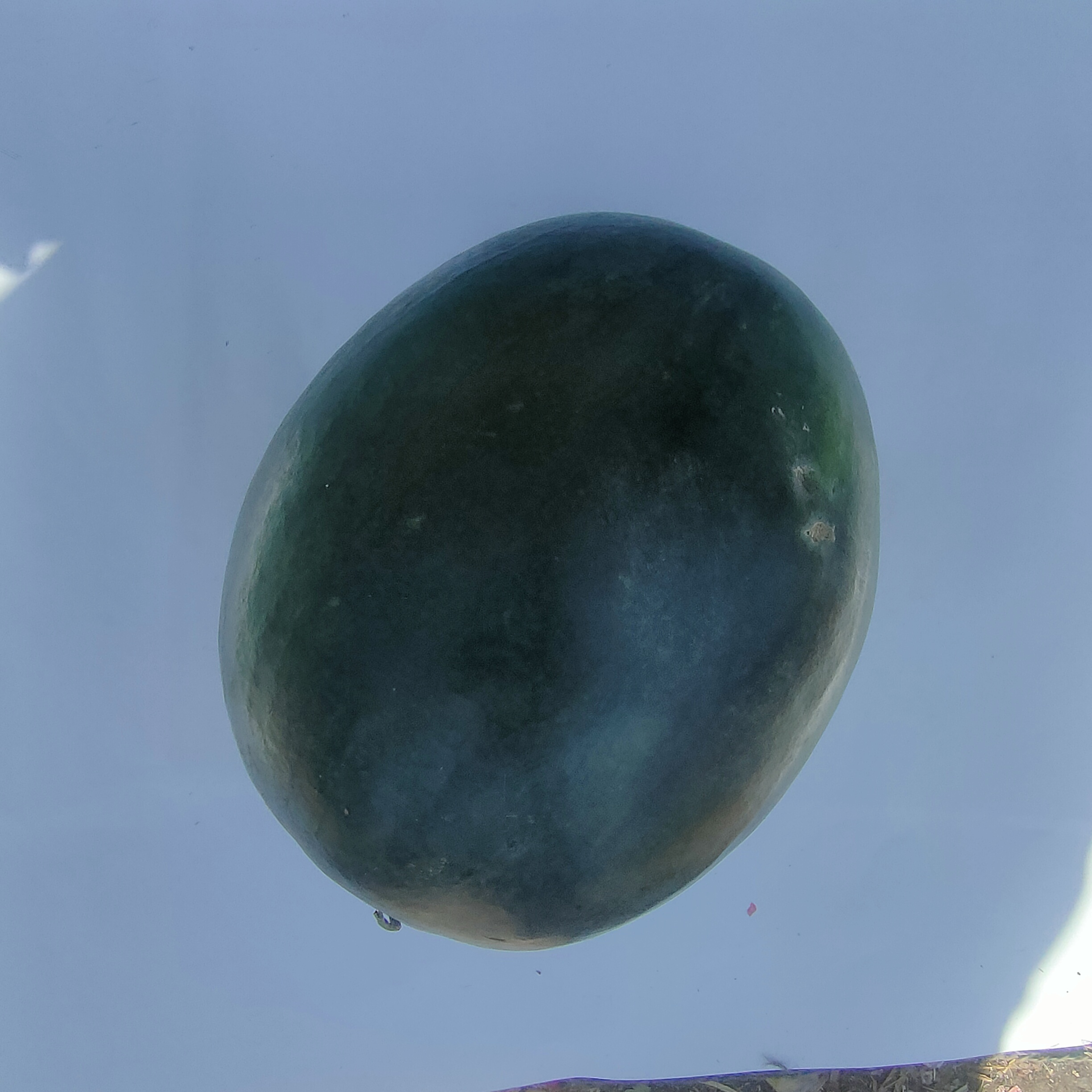 Fruit Detection Object Detection Dataset And Pre Trained Model By Classfication