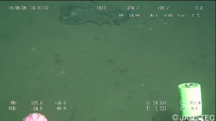 Underwater Object Detection Object Detection Dataset By Underwater