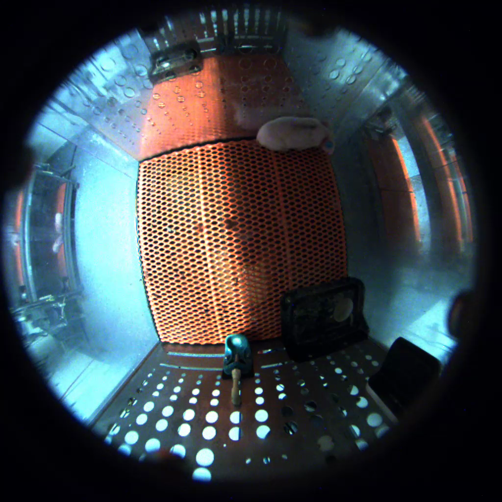 pig-tracking Instance Segmentation Dataset by AIFarms