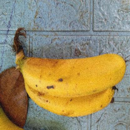 Banana Object Detection Dataset and Pre-Trained Model by comsats ...