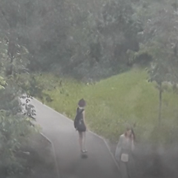 Person detection project Object Detection Dataset and Pre-Trained Model by obj dect