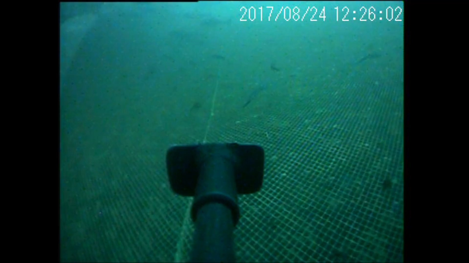 Fish Dead Object Detection Dataset and Pre-Trained Model by Robotics2022 Jesuit Fish AI