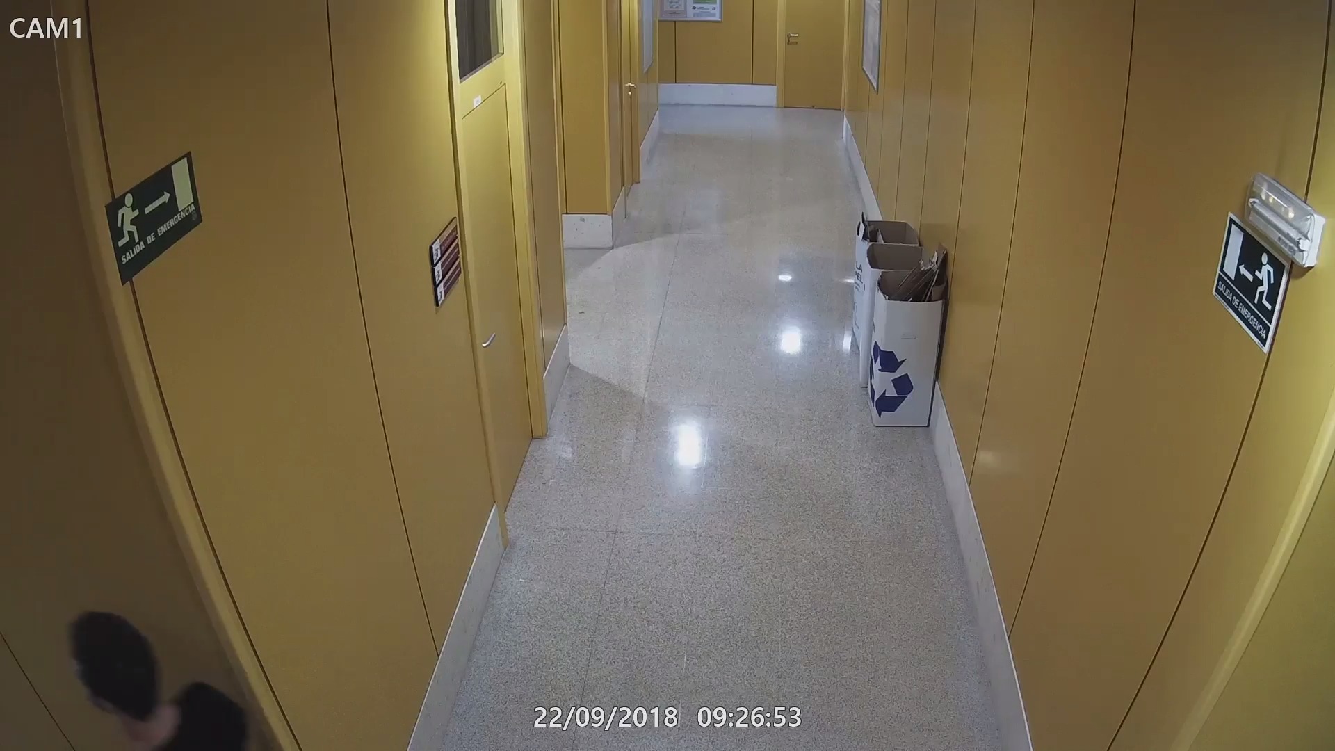 Gun Detection Testing Object Detection Dataset By Weapon Detection