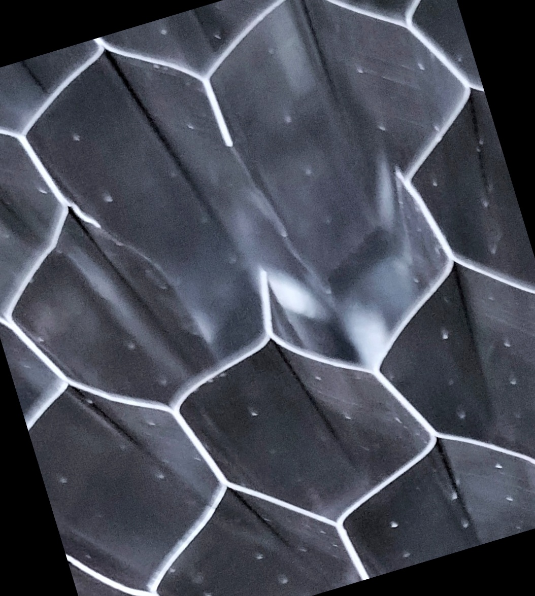 Honeycomb Iitkgp Instance Segmentation Dataset And Pre Trained Model By Honecomb