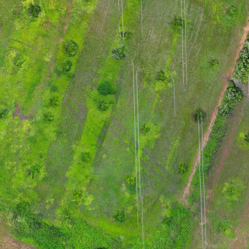 tree-annotation-cite-1-v2 Instance Segmentation Dataset by NMAgri