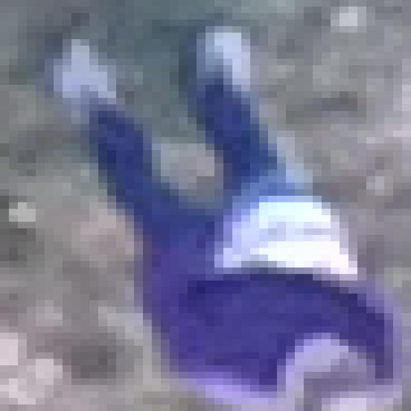 Human Detection Object Detection Dataset by Drone Internship