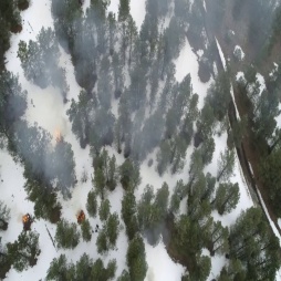 wildfire Instance Segmentation Dataset and Pre-Trained Model by Projectfire