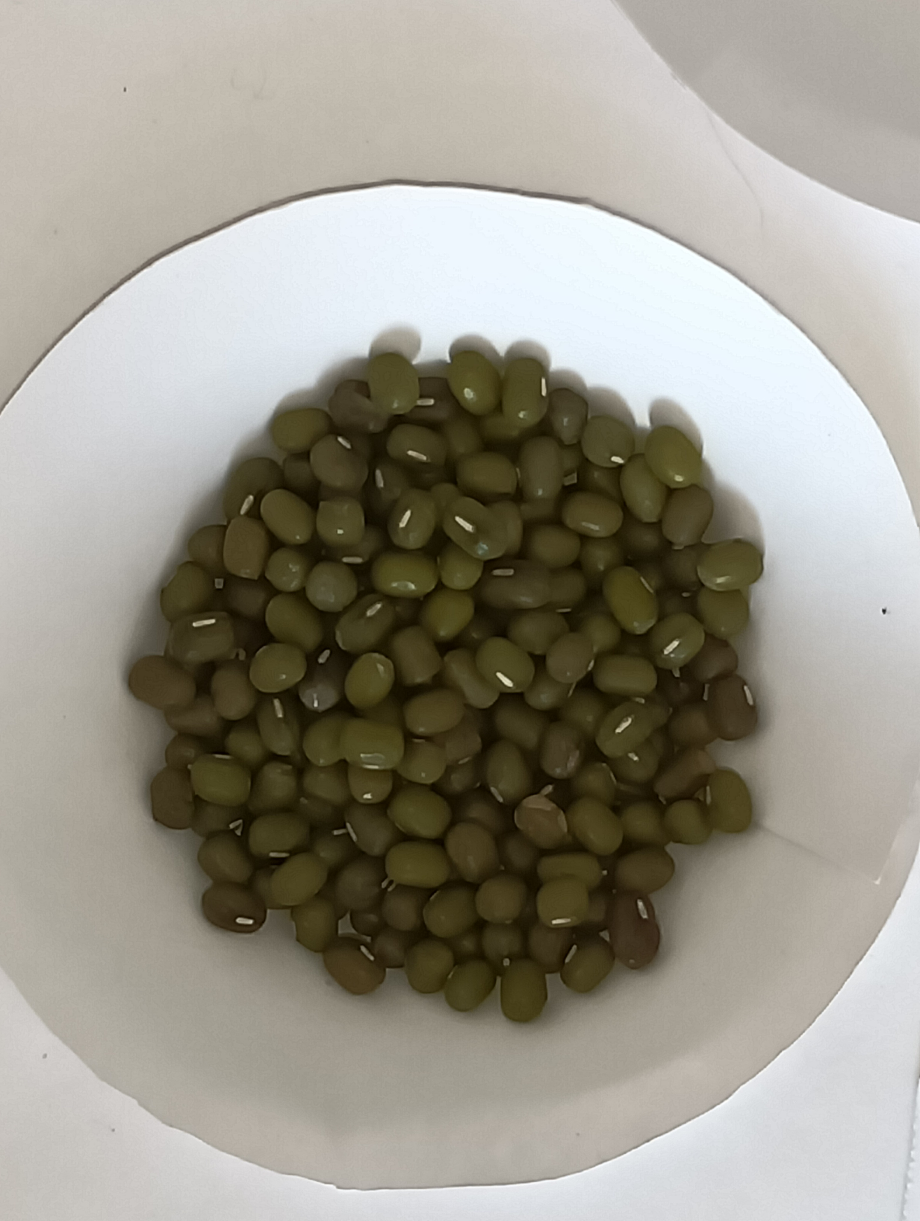 beans Object Detection Dataset and Pre-Trained Model by cheng9840