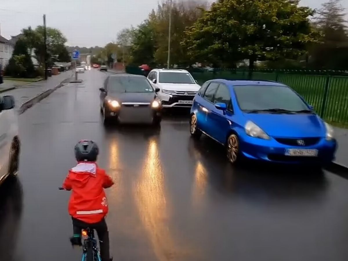 How to Use the Car Detection Object Detection API