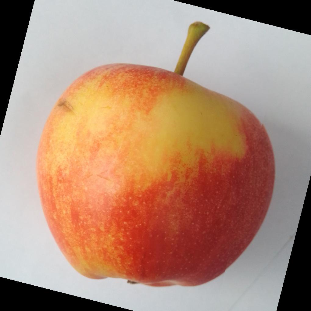 Fruitas Classification Dataset by Frutas