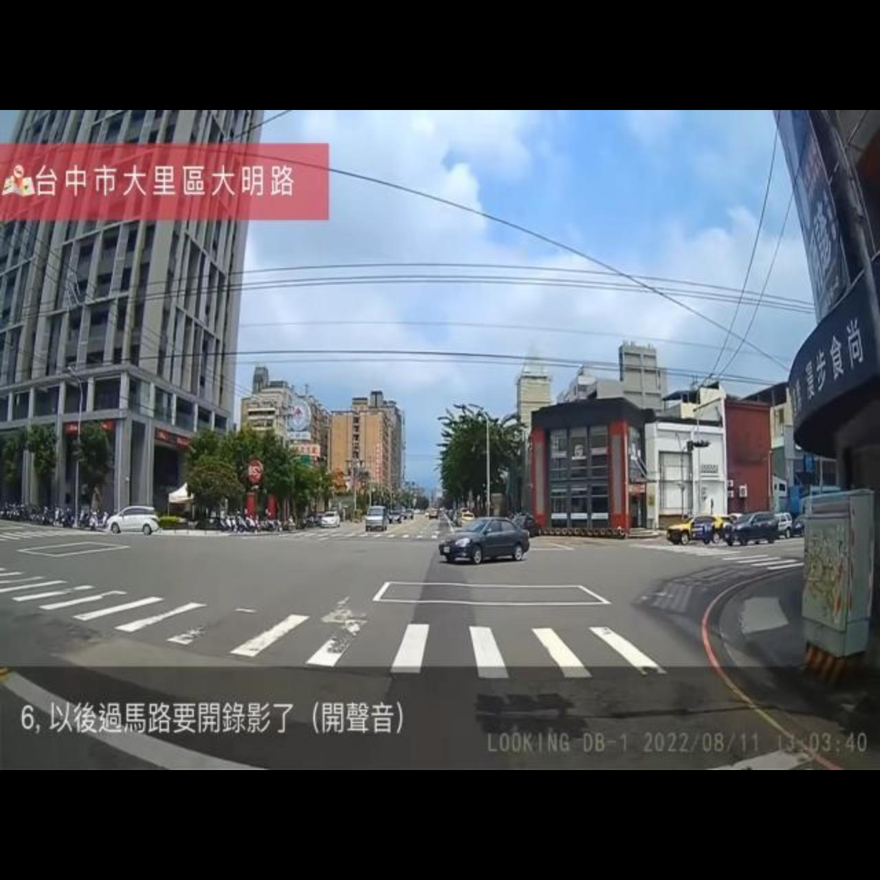 zebra Object Detection Dataset by trafficofficialmyself