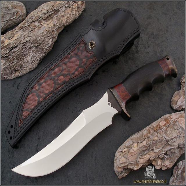 Guardian Eye Object Detection Dataset By Guardian Eye