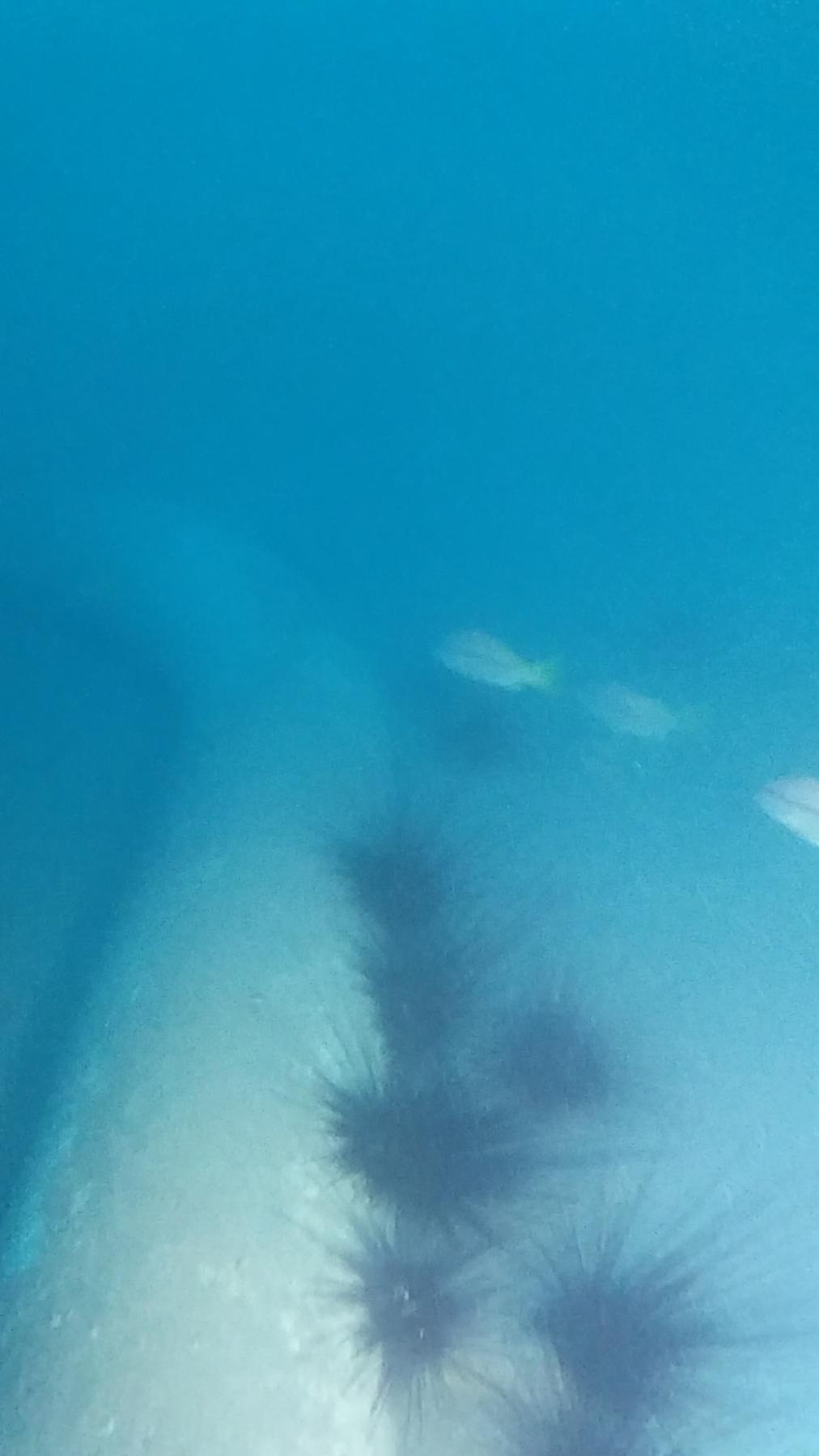 corner_only2 Object Detection Dataset by pete piya