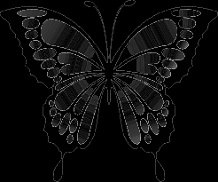 Butterfly-Segmentation Instance Segmentation Dataset by new-workspace-smksv