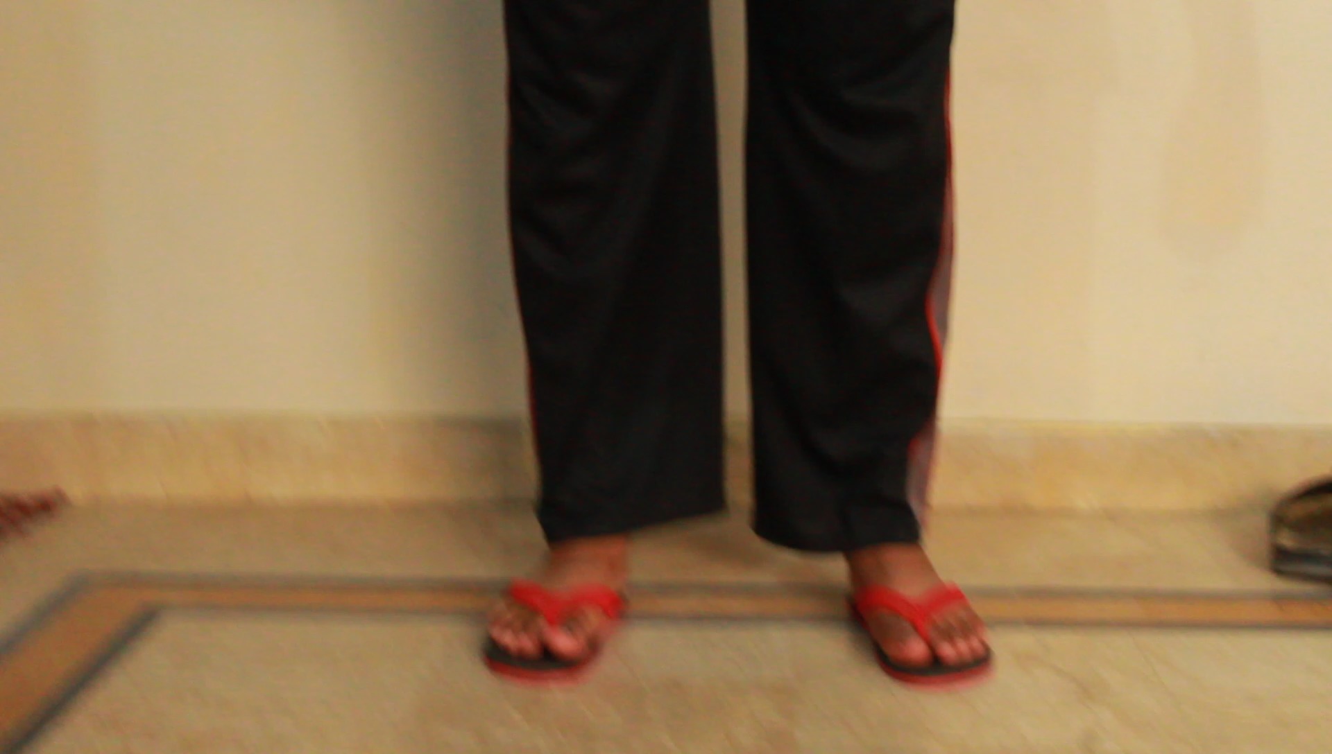 dress code Object Detection Dataset by Yusra Habib