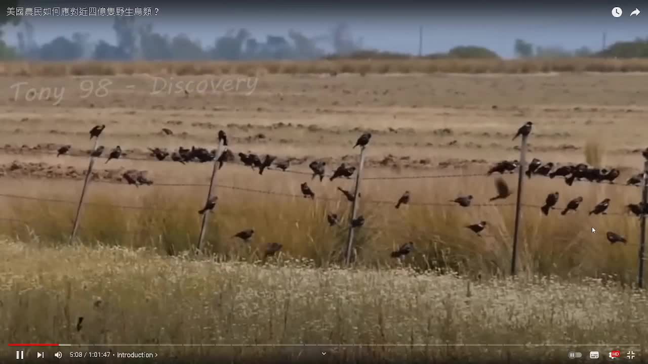 birds Object Detection Dataset by national taiwan university of science and technology