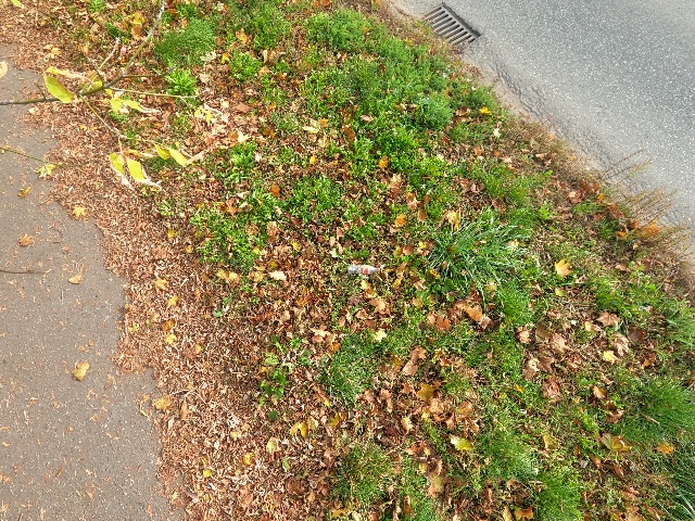 Litter Detection Object Detection Dataset And Pre Trained Model By Swarm Robotics