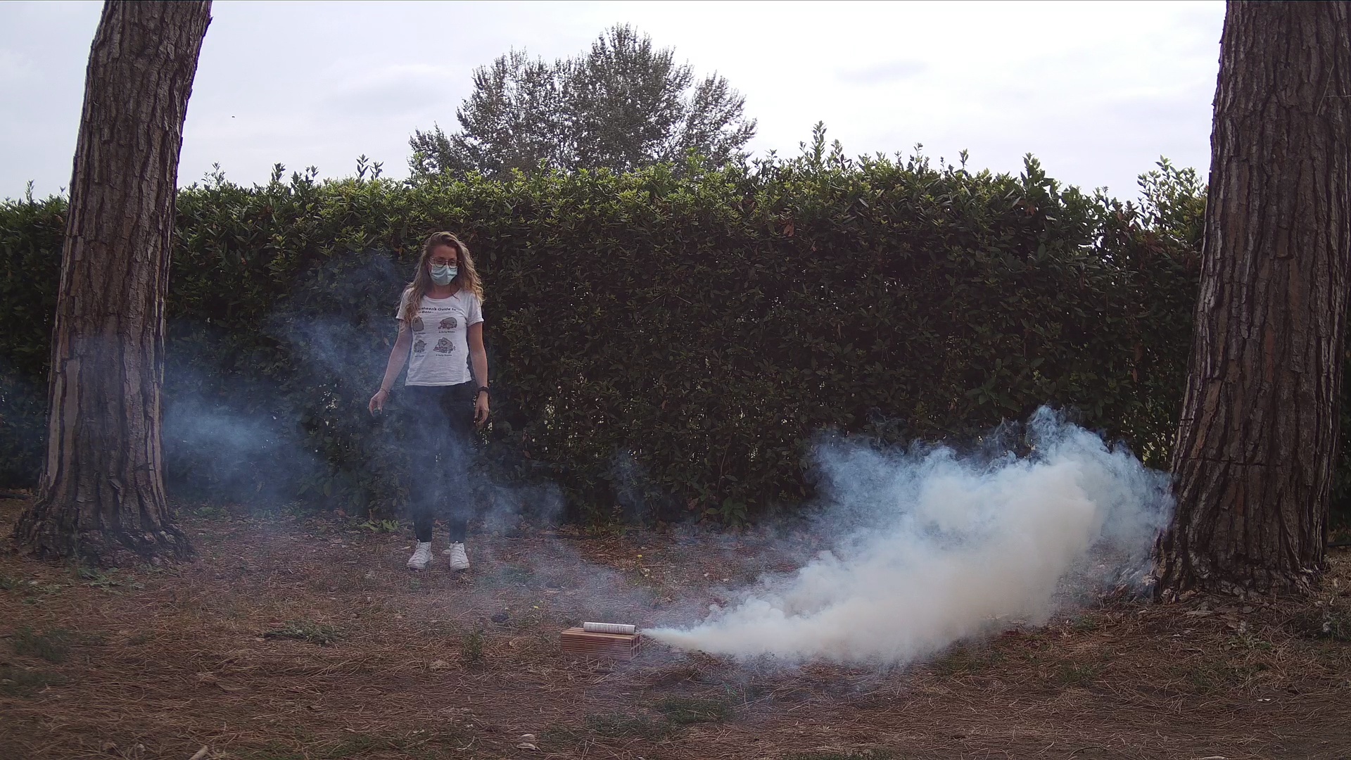 Smoke Detection Industrial Object Detection Dataset And Pre Trained Model By Sigma Pub