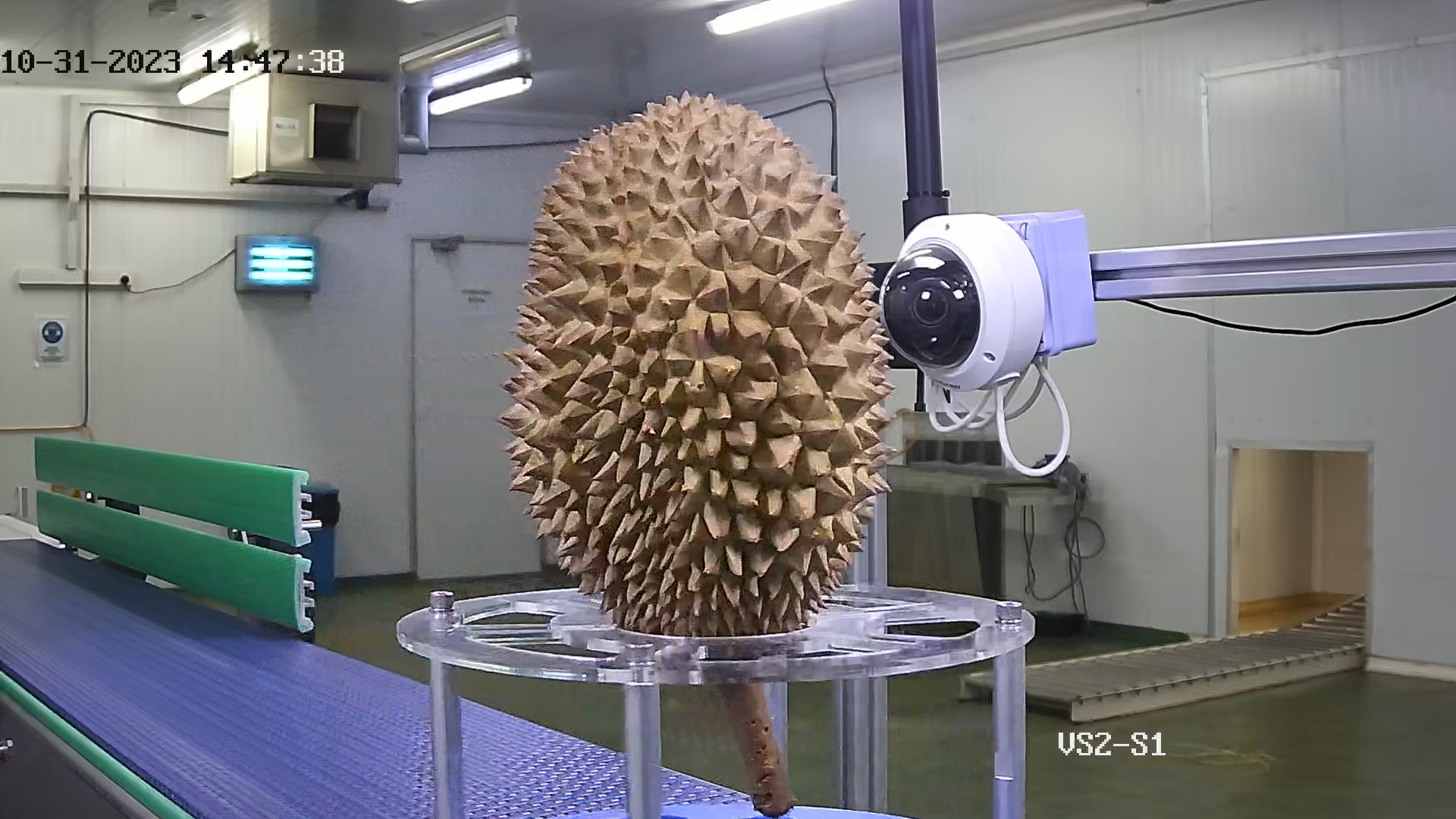 Durian Grading 26102023 Dataset Object Detection Dataset By Bestgetsbetter