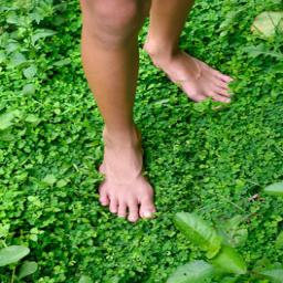 foot Object Detection Dataset and Pre-Trained Model by Tran Hung